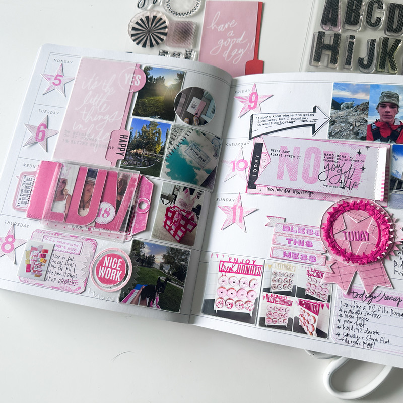 Stop The Blur - August 2024 - Heidi Swapp Shop